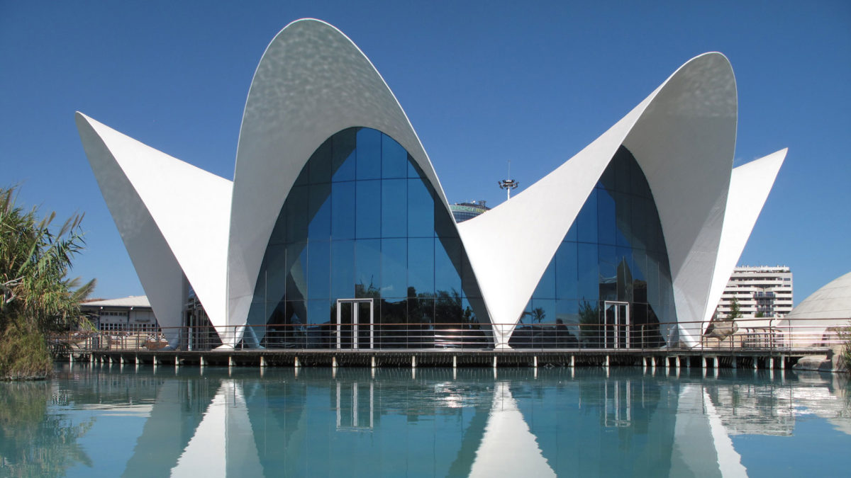 Structures uniques de type « coquille de béton » – Amusement Logic